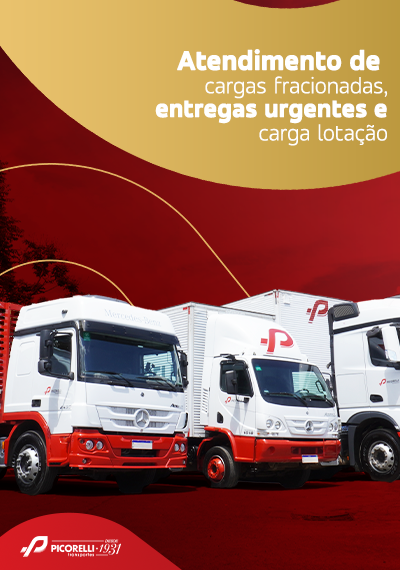 Picorelli - SP | MG | RJ Cargas Fracionadas